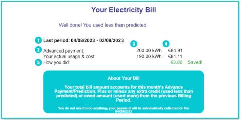 Your Yuno Energy Electricity Bill Explained